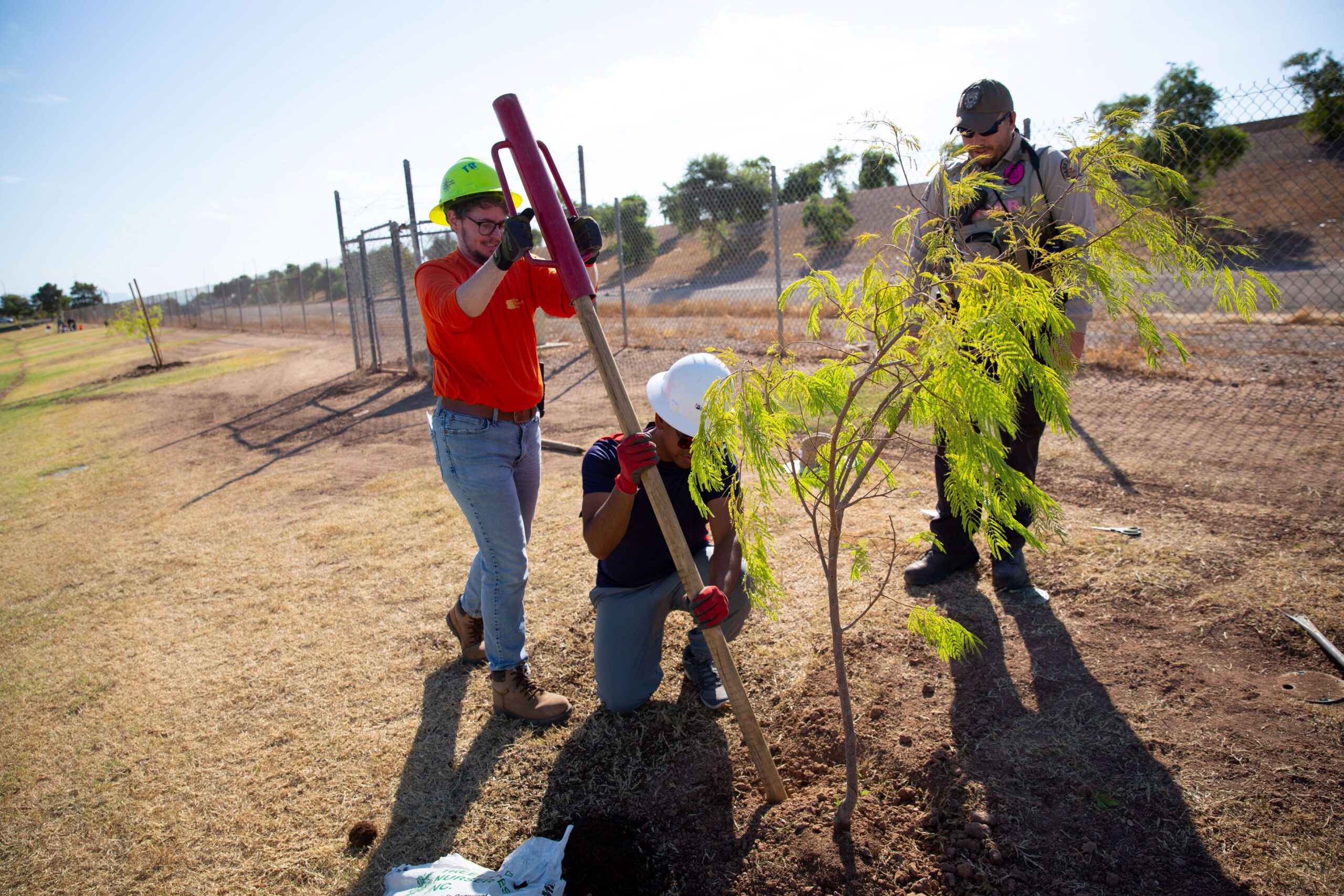 Mesa Kicks Off 2025 Tree Planting Season